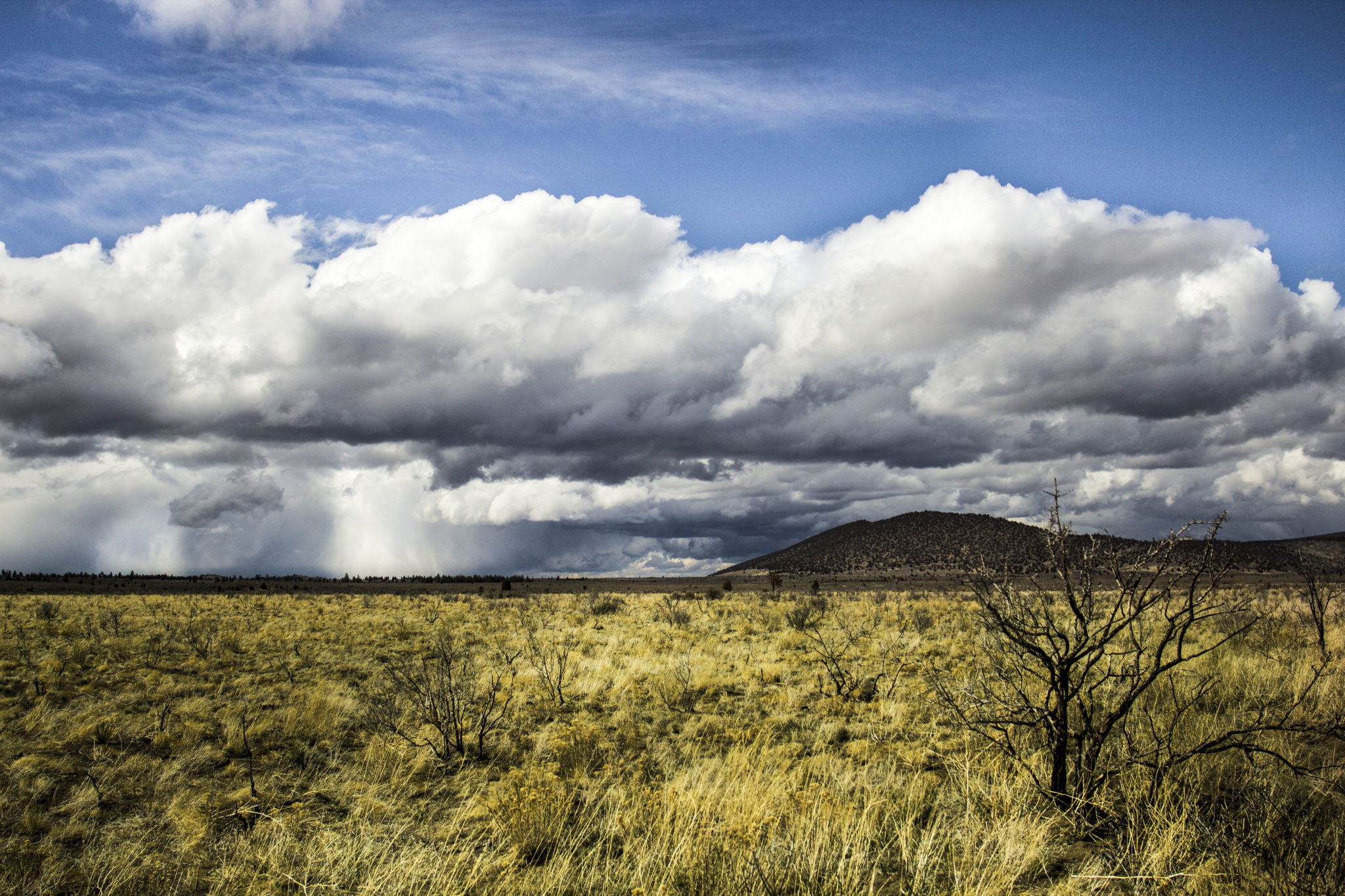 Clouds Landscape Royalty Free Photo