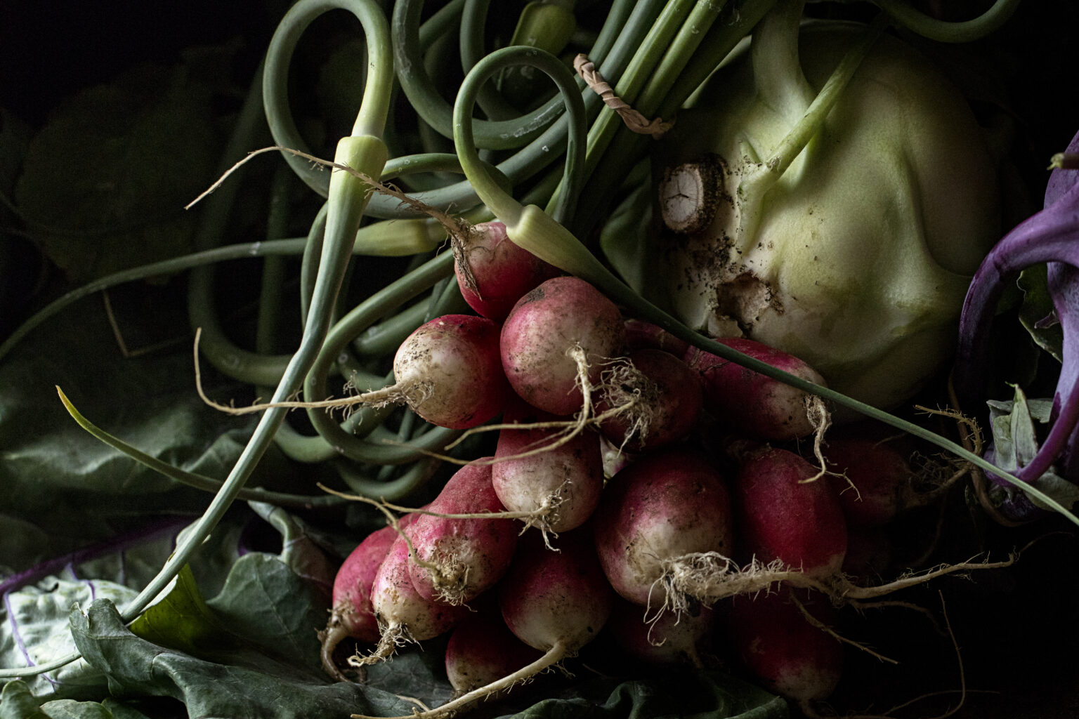 Garden Vegetables Fresh Royalty Free Photo