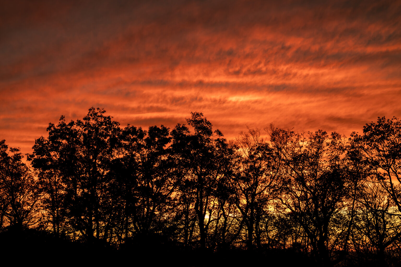 Download Royalty Free Stock Photos - NegativeSpace