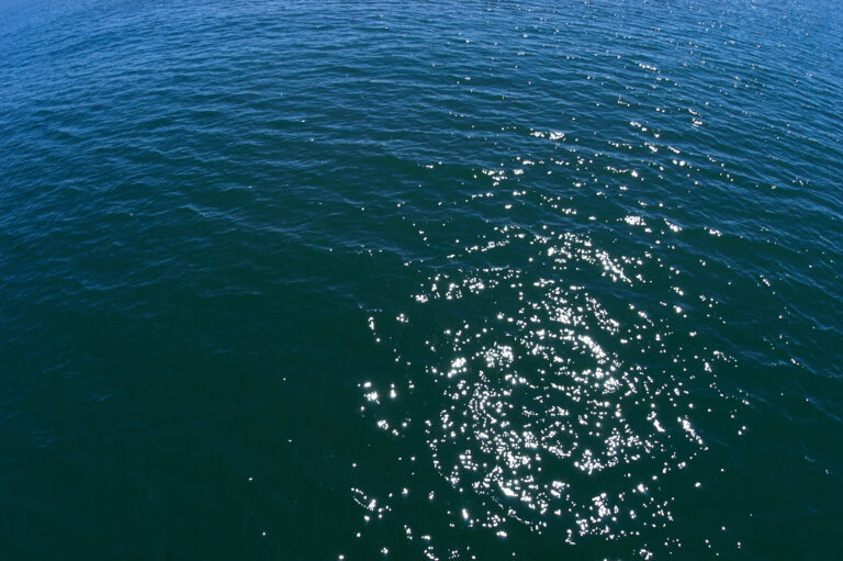 Download 500+ Royalty Free Nature Stock Photos